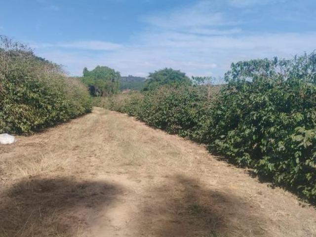 Fazenda para Venda em São Sebastião do Paraíso, RURAL