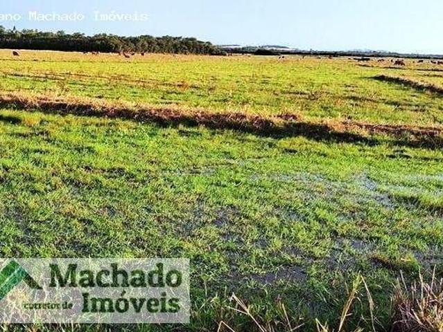 Fazenda para Venda em São Sepé, Rural