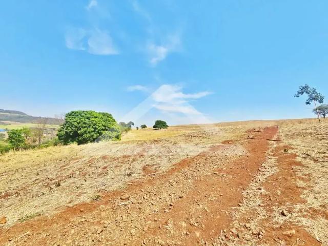 Fazenda para Venda em São Simão/SP Zona Rural