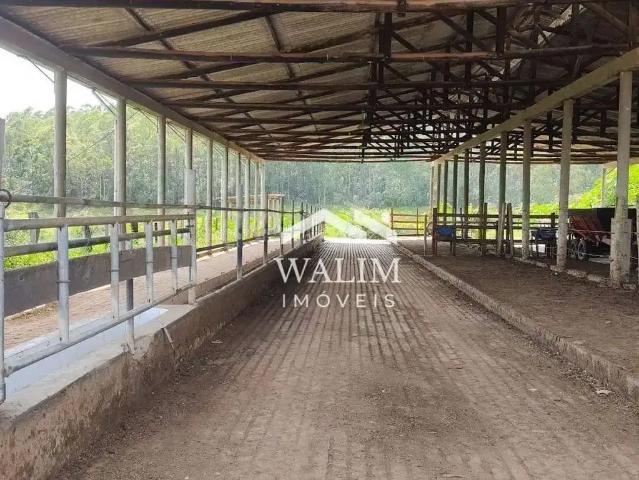 Fazenda para Venda em São Tiago/MG Zona Rural 4 Quartos