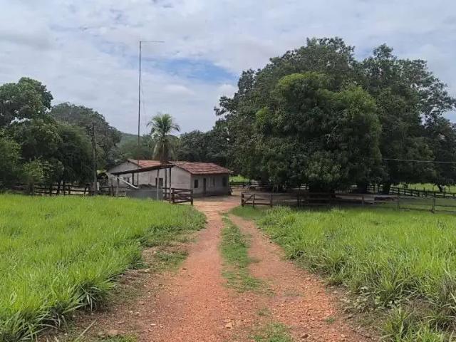 Fazenda para Venda em São Valério da Natividade/TO Zona Rural