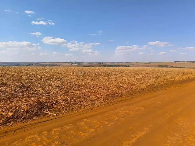Fazenda para Venda em Sacramento/MG Zona Rural 2 Quartos