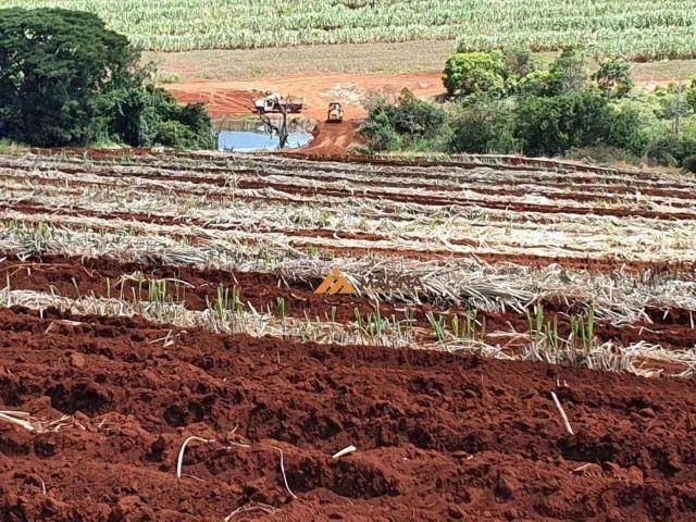 Fazenda para Venda em Sacramento/MG Zona Rural