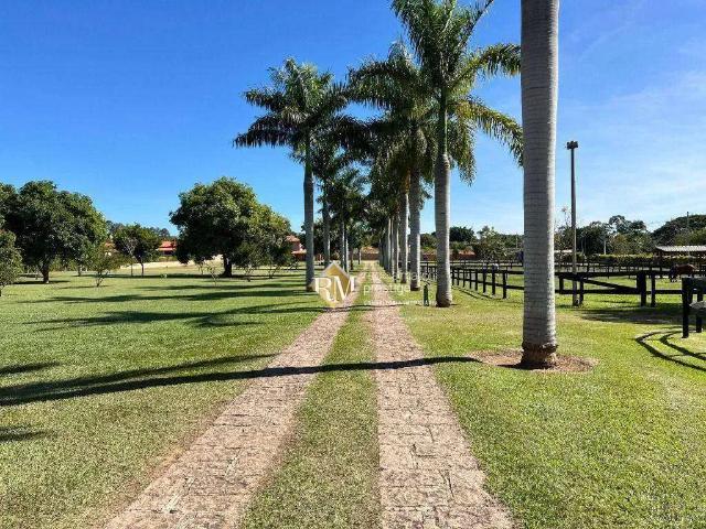Fazenda para Venda em Salto/SP Terras de Santa Rosa 7 Quartos