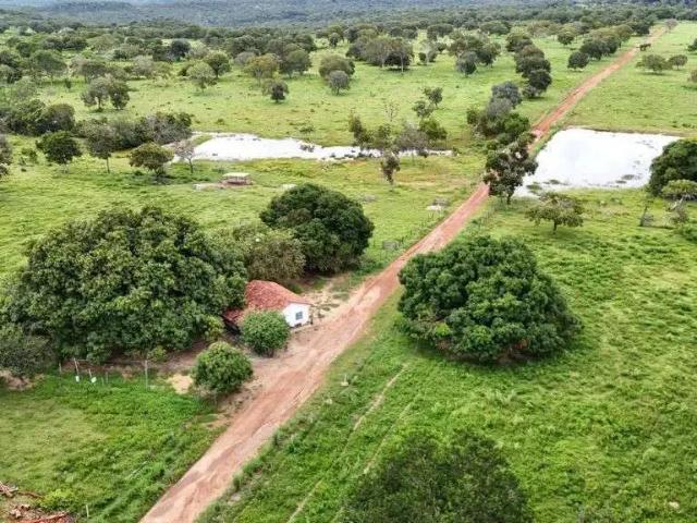 Fazenda para Venda em Sandolândia/TO Zona Rural