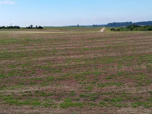 Fazenda para Venda em Santo Antônio da Alegria, RURAL