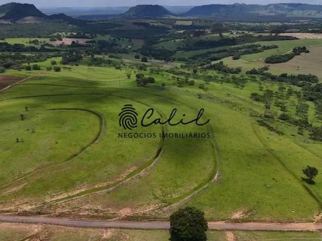 Fazenda para Venda em Santo Antônio da Alegria/SP Centro 1 Quartos