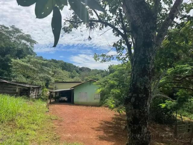 Fazenda para Venda em Santo Antônio da Alegria/SP Zona Rural 2 Quartos