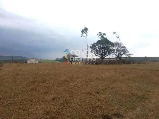 Fazenda para Venda em Santo Antônio da Alegria/SP Zona Rural 2 Quartos