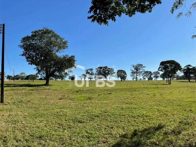 Fazenda para Venda em Santo Antônio de Goiás/GO Centro 3 Quartos
