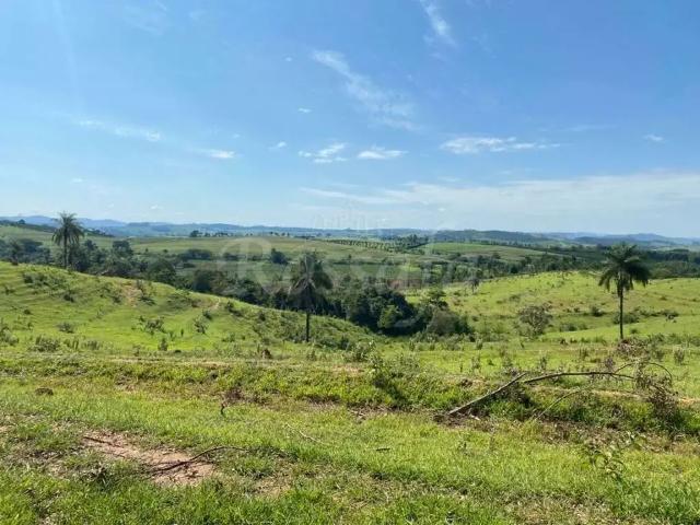 Fazenda para Venda em Santo Antônio de Posse/SP Zona Rural