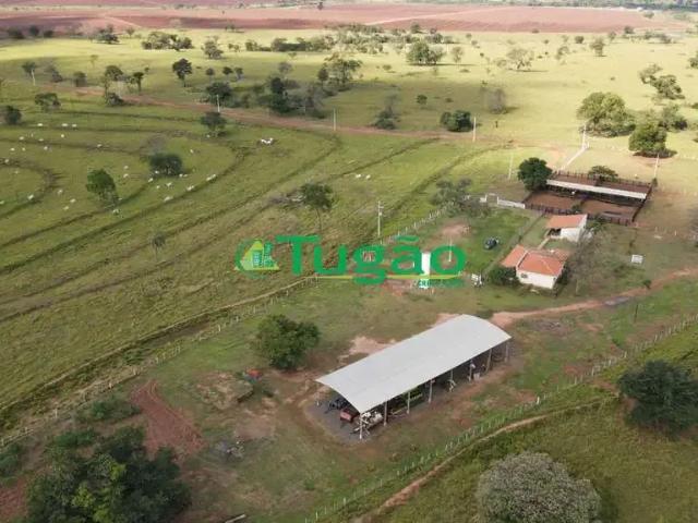 Fazenda para Venda em Santo Antônio do Aracanguá/SP Zona Rural