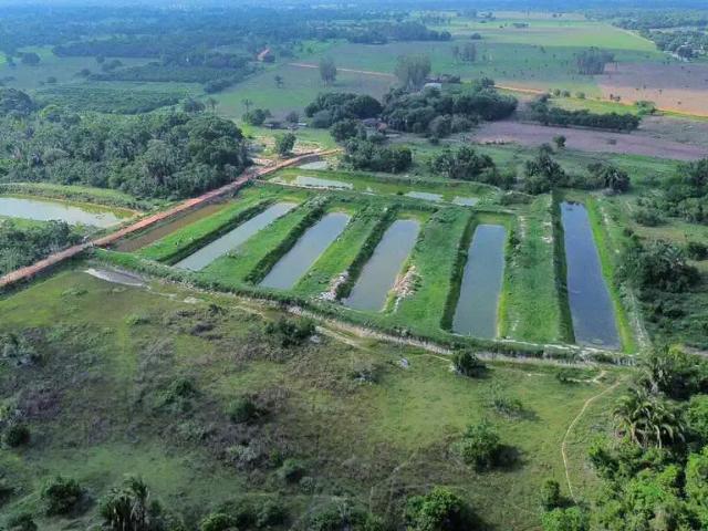 Fazenda para Venda em Santo Antônio do Leverger/MT Zona Rural 4 Quartos
