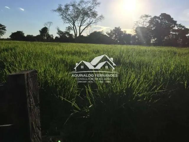 Fazenda para Venda em Santo Antônio do Leverger/MT Zona Rural
