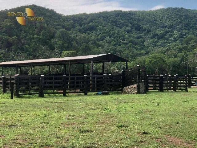 Fazenda para Venda em Santo Antônio do Leverger/MT Zona Rural