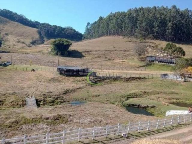 Fazenda para venda em Santo Antônio do Pinhal