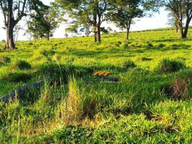 Fazenda para venda em Santa Cruz da Esperança