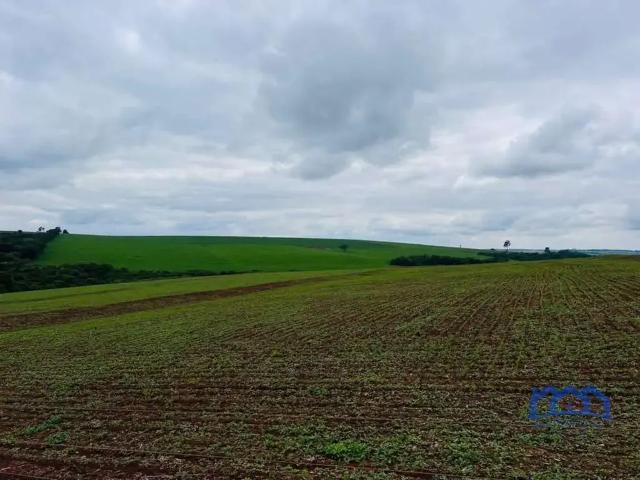 Fazenda para Venda em Santa Cruz do Rio Pardo/SP Centro 1 Quartos