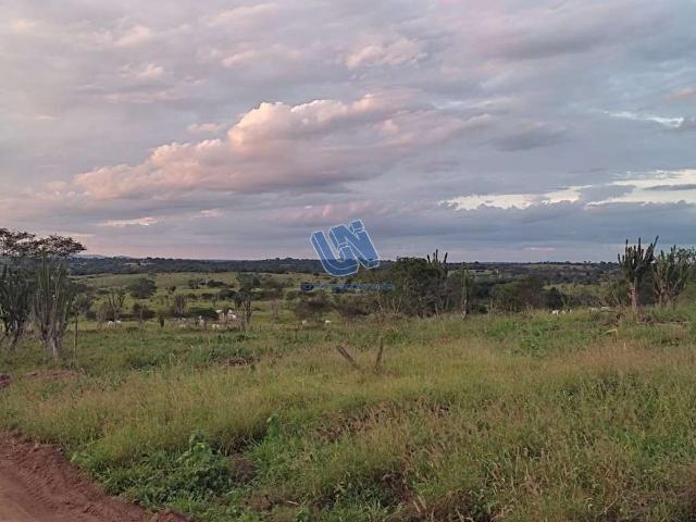 Fazenda para Venda em Santa Bárbara/BA Zona Rural 3 Quartos