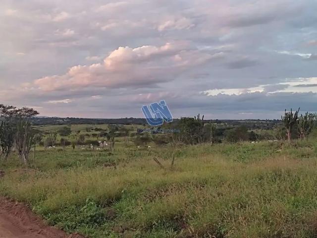 Fazenda para Venda em Santa Bárbara/BA Zona Rural 3 Quartos