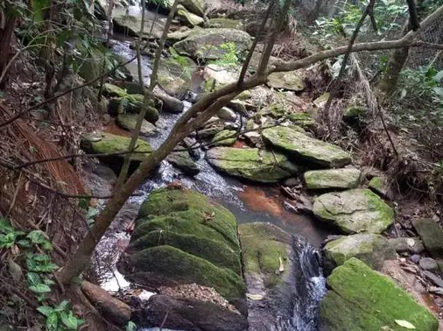 Fazenda para Venda em Santa Branca/SP Toca do Leitão