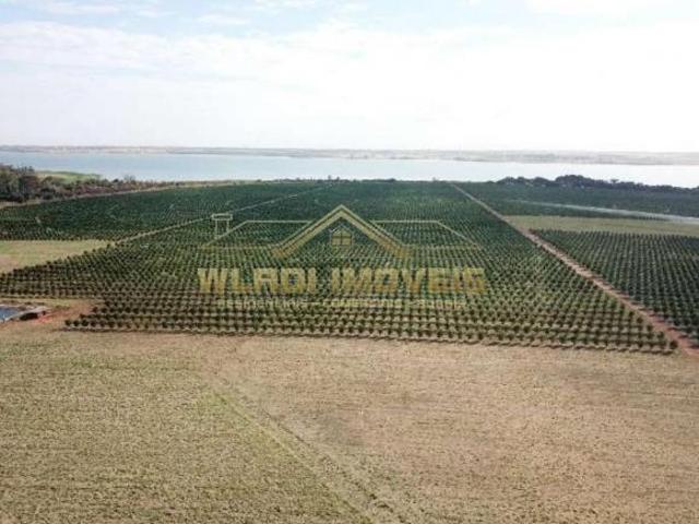 Fazenda para venda em Santa Eliza, Votuporanga