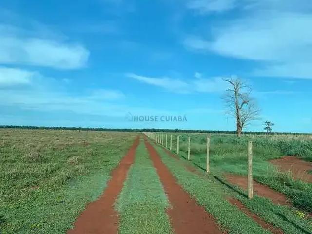 Fazenda para Venda em Santa Fé de Goiás/GO Zona Rural 3 Quartos