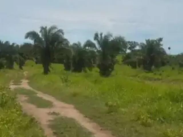 Fazenda para Venda em Santa Fé de Goiás/GO Zona Rural