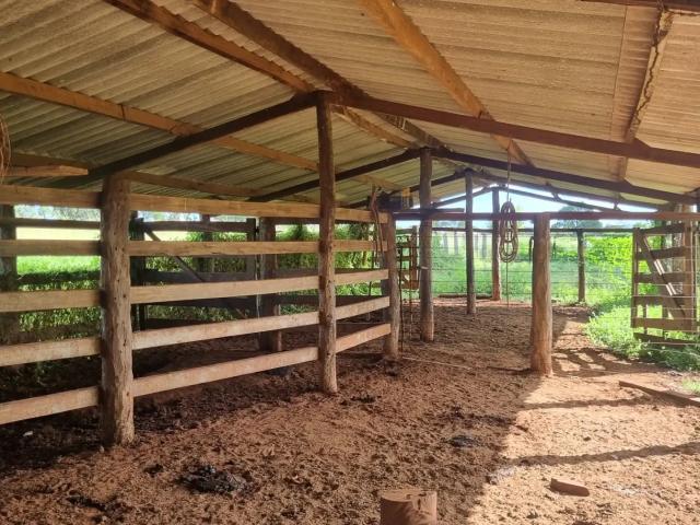 Fazenda para Venda em Santa Fé de Goiás/GO Zona Rural