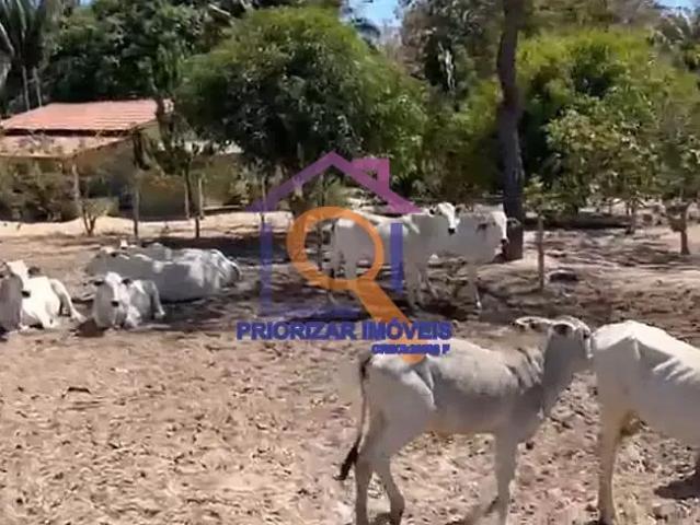 Fazenda para Venda em Santa Fé de Minas/MG Zona Rural 3 Quartos