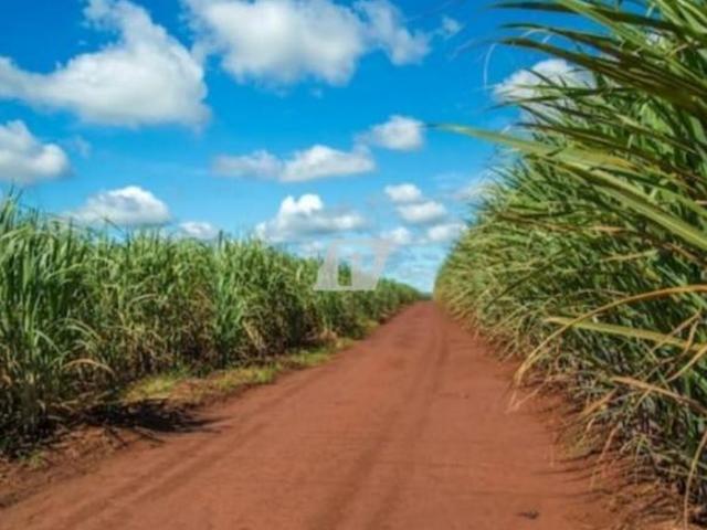 Fazenda para venda em Santa Olímpia, Piracicaba