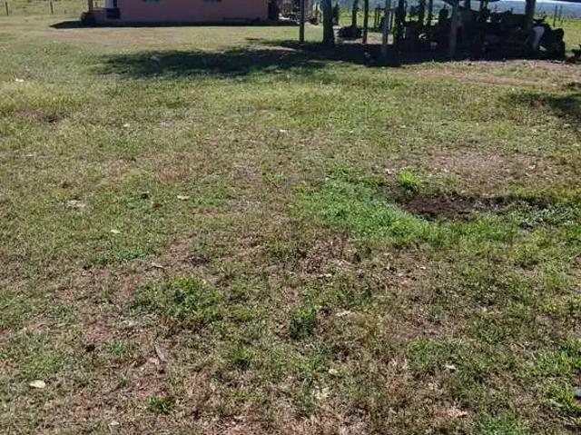 Fazenda para Venda em Santa Maria do Tocantins/TO Zona Rural
