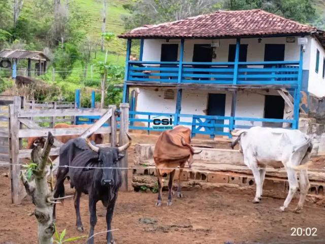 Fazenda para Venda em Santa Maria de Itabira/MG Centro 7 Quartos