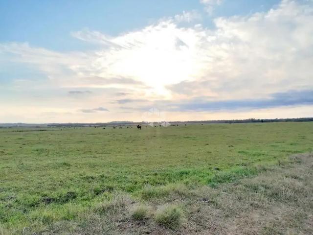 Fazenda para Venda em Santa Maria/RS Centro
