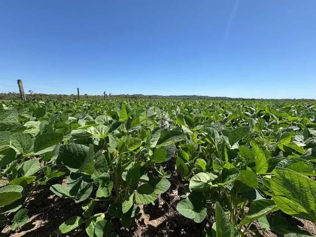 Fazenda para Venda em Santa Maria/RS São Valentim
