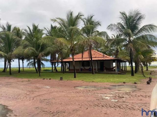 Fazenda para Venda em Santa Quitéria do Maranhão/MA Zona Rural
