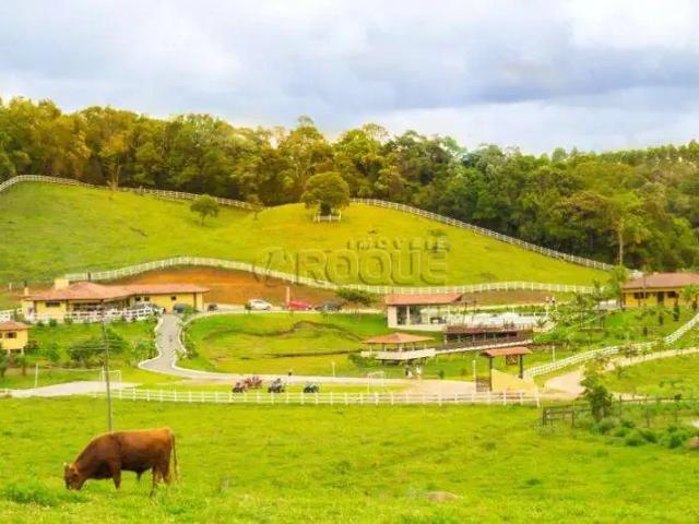 Fazenda para Venda em Santa Rosa de Lima/SC Centro 11 Quartos