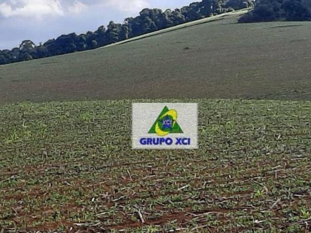 Fazenda para venda em Santa Rita de Caldas