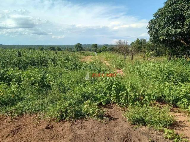 Fazenda para Venda em Santa Rita do Pardo/MS Centro 5 Quartos