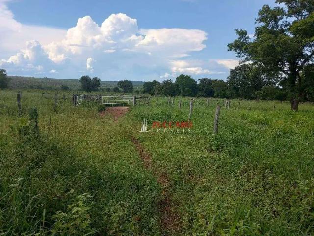 Fazenda para Venda em Santa Rita do Pardo/MS Centro 5 Quartos