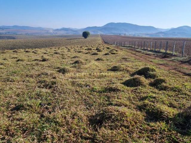 Fazenda para Venda em Santa Rita do Sapucaí, rural