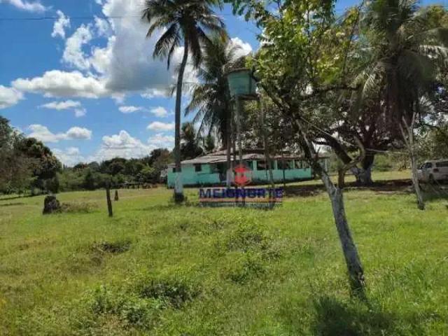 Fazenda para Venda em Santa Rita/MA Centro