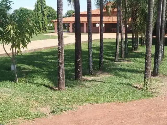 Fazenda para Venda em Santa Terezinha de Goiás/GO Zona Rural