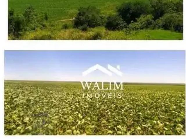 Fazenda para Venda em Santa Terezinha de Itaipu/PR Zona Rural