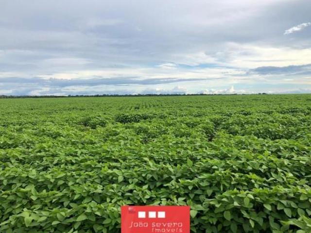 Fazenda para Venda em Santa Terezinha