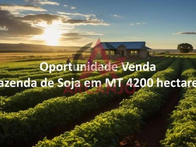 Fazenda para Venda em Santa Terezinha/MT Centro 5 Quartos