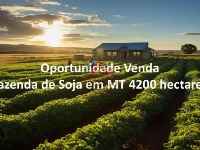 Fazenda para Venda em Santa Terezinha/MT Setor Rodoviário