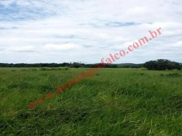 Fazenda para Venda em Santa Terezinha/MT Zona Rural
