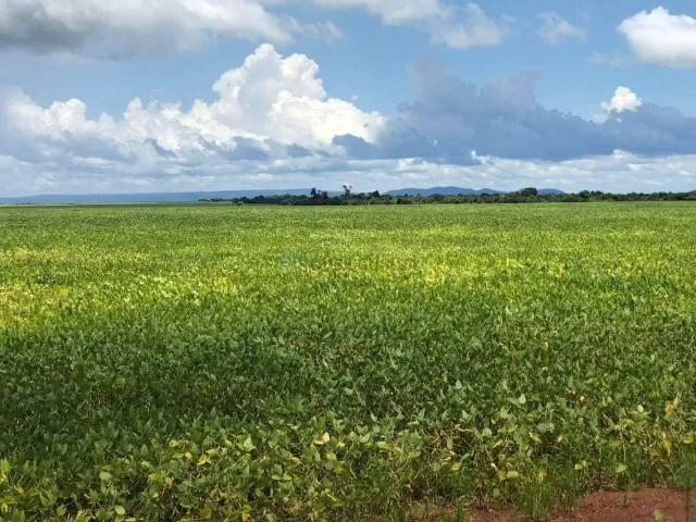 Fazenda para Venda em Santa Terezinha/MT Zona Rural 3 Quartos