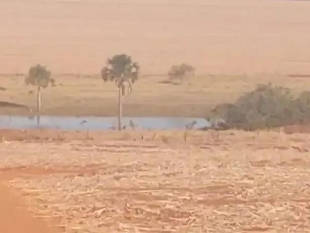 Fazenda para Venda em Santa Vitória/MG Zona Rural